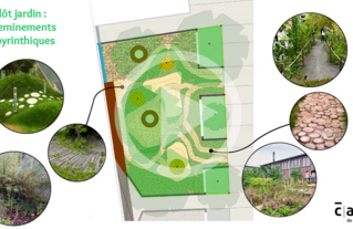 Le projet Oasis - Tout comprendre avec la Ville de Paris