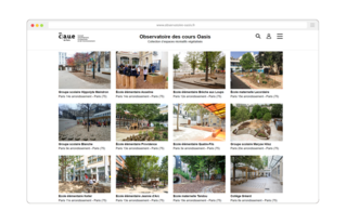 Observatoire des cours Oasis